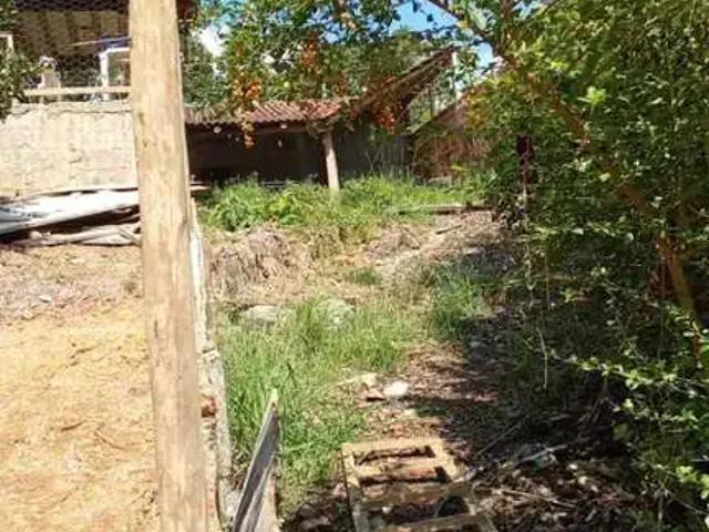 Terreno / Lote para Venda em Camboriú/SC Área Rural de Camboriú