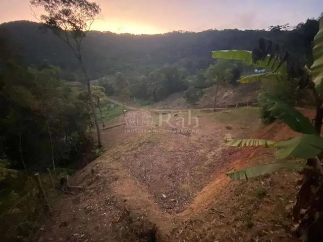 Terreno / Lote para Venda em Camboriú/SC Braço