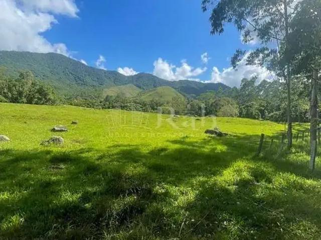 Terreno / Lote para Venda em Camboriú/SC Braço