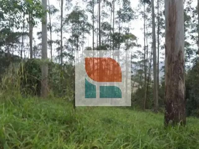 Terreno / Lote para Venda em Camboriú/SC Caetes