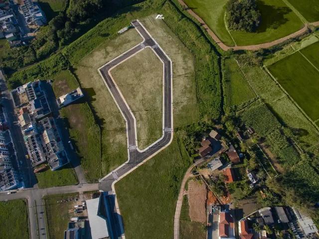 Terreno / Lote para Venda em Camboriú/SC Cedro