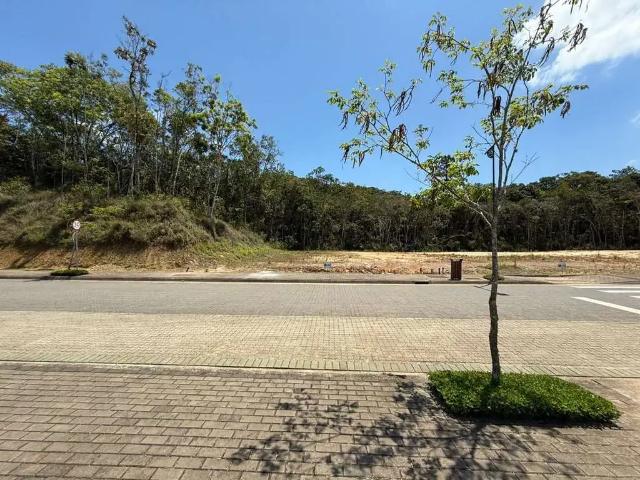 Terreno / Lote para Venda em Camboriú/SC Centro