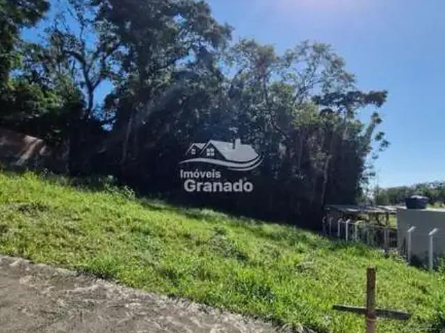 Terreno / Lote para Venda em Camboriú/SC Rio Pequeno