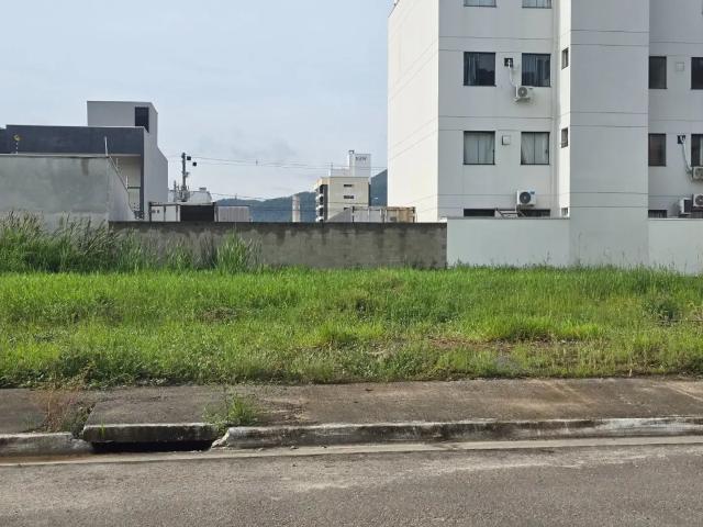 Terreno / Lote para Venda em Camboriú/SC São Francisco de Assis