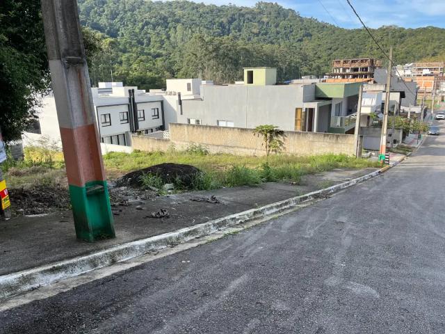 Terreno / Lote para Venda em Camboriú/SC São Francisco de Assis