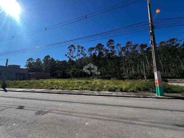 Terreno / Lote para Venda em Camboriú/SC São Francisco de Assis