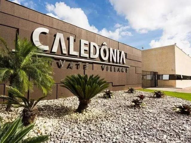 Terreno / Lote para Venda em Camboriú/SC Santa Regina