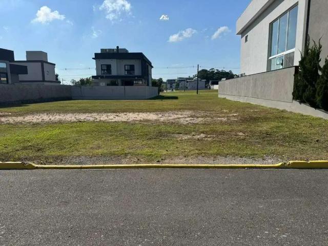 Terreno / Lote para Venda em Camboriú/SC Santa Regina
