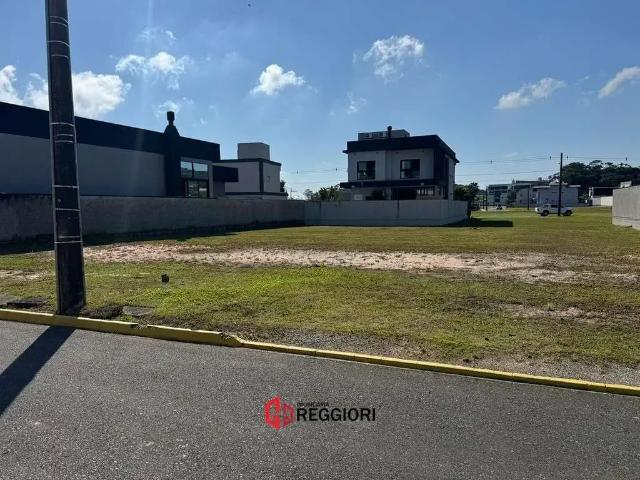 Terreno / Lote para Venda em Camboriú/SC Santa Regina