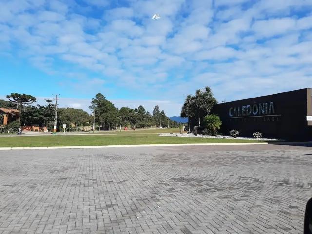 Terreno / Lote para Venda em Camboriú/SC Santa Regina