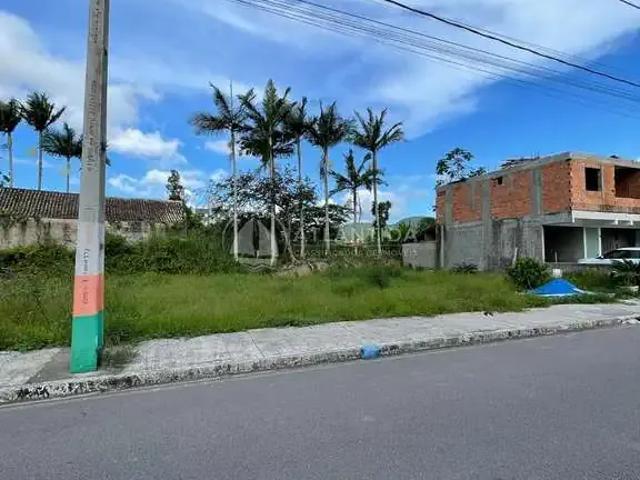 Terreno / Lote para Venda em Camboriú/SC Santa Regina VII