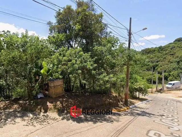 Terreno / Lote para Venda em Camboriú/SC Tabuleiro