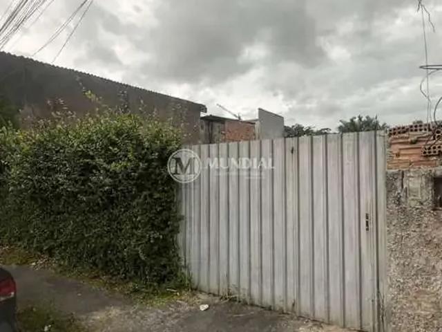 Terreno / Lote para Venda em Camboriú/SC Tabuleiro