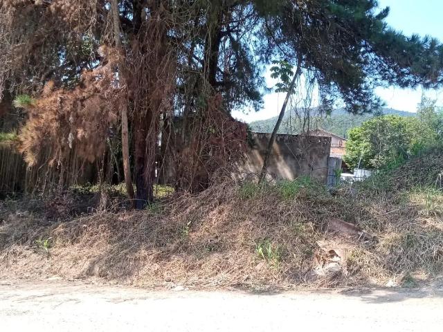 Terreno / Lote para Venda em Camboriú/SC Várzea do Ranchinho