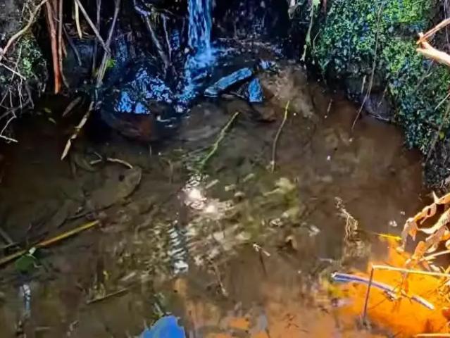 Terreno / Lote para Venda em Cambuí/MG Zona Rural