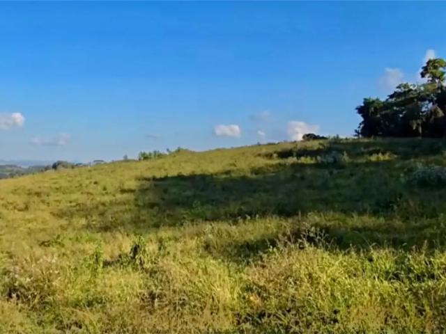 Terreno / Lote para Venda em Cambuí/MG Centro