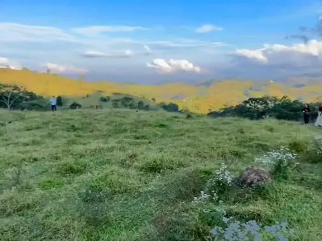 Terreno / Lote para Venda em Cambuí/MG Centro