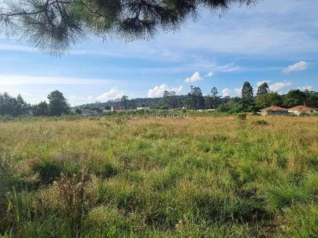 Terreno / Lote para Venda em Campina Grande do Sul/PR Timbu