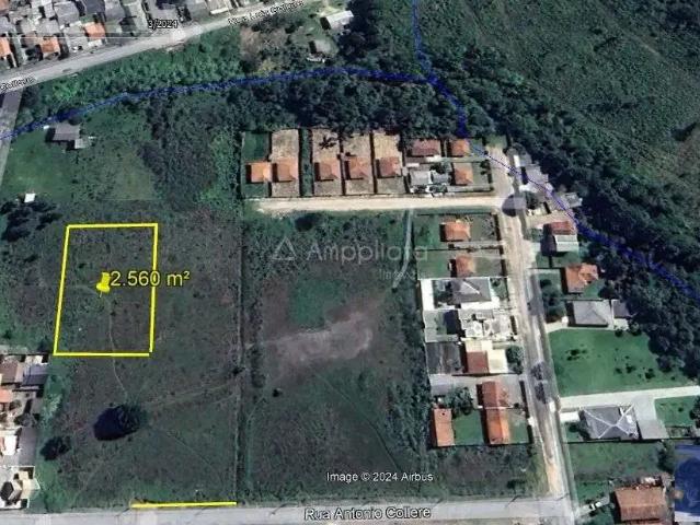 Terreno / Lote para Venda em Campina Grande do Sul/PR Timbu