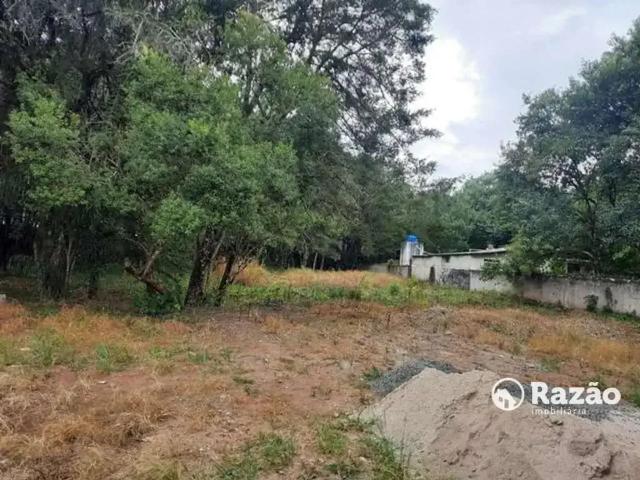 Terreno / Lote para Venda em Campina Grande do Sul/PR Timbu Velho