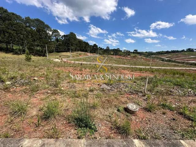 Terreno / Lote para Venda em Campina Grande do Sul/PR Zona Rural