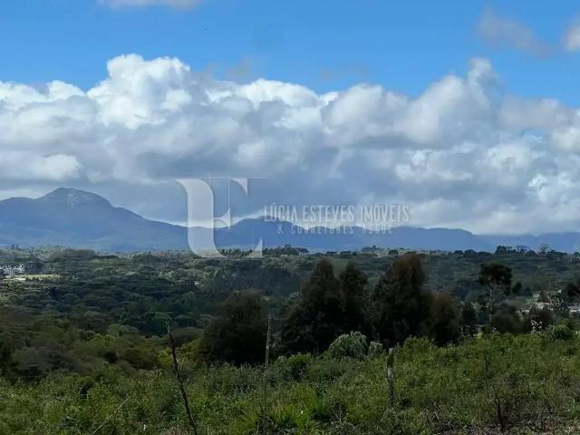 Terreno / Lote para Venda em Campina Grande do Sul/PR Zona Rural