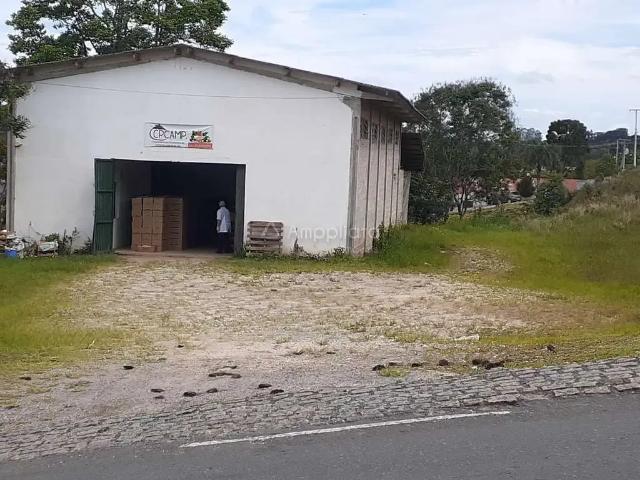 Terreno / Lote para Venda em Campina Grande do Sul/PR Centro