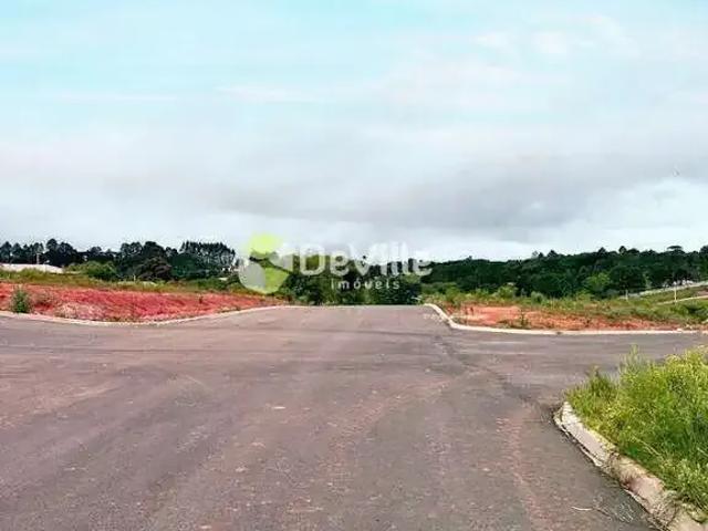 Terreno / Lote para Venda em Campina Grande do Sul/PR Centro