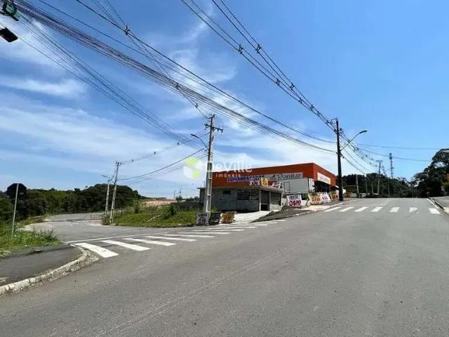 Terreno / Lote para Venda em Campina Grande do Sul/PR Centro