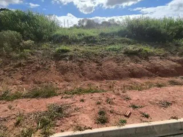Terreno / Lote para Venda em Campina Grande do Sul/PR Centro