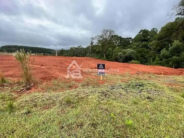 Terreno / Lote para Venda em Campina Grande do Sul/PR Centro