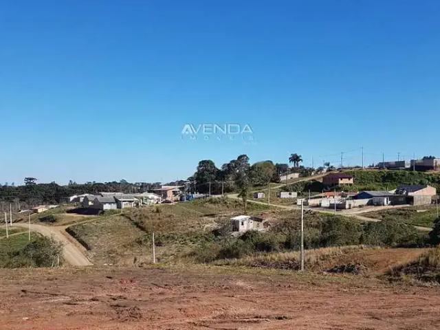 Terreno / Lote para Venda em Campina Grande do Sul/PR Centro
