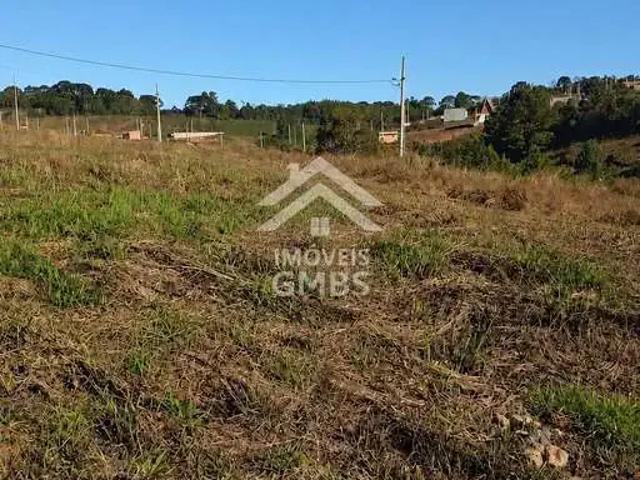 Terreno / Lote para Venda em Campina Grande do Sul/PR Centro