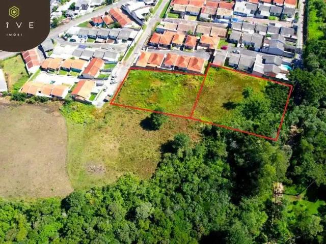 Terreno / Lote para Venda em Campina Grande do Sul/PR Centro