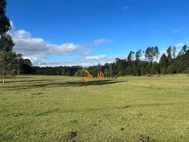 Terreno / Lote para Venda em Campina Grande do Sul/PR Centro