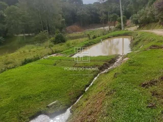 Terreno / Lote para Venda em Campina Grande do Sul/PR Centro