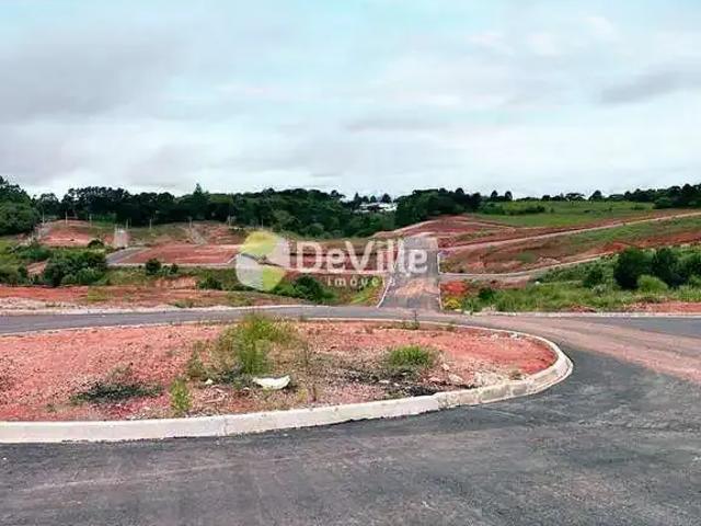 Terreno / Lote para Venda em Campina Grande do Sul/PR Centro