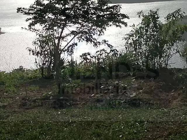 Terreno / Lote para Venda em Campina Grande do Sul/PR CICAMP