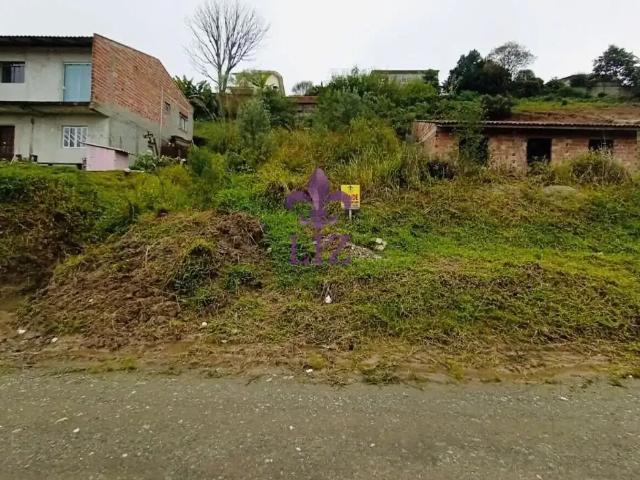 Terreno / Lote para Venda em Campina Grande do Sul/PR Jardim Araçatuba