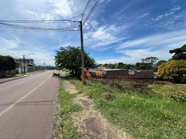 Terreno / Lote para Venda em Campina Grande do Sul/PR Jardim Paulista