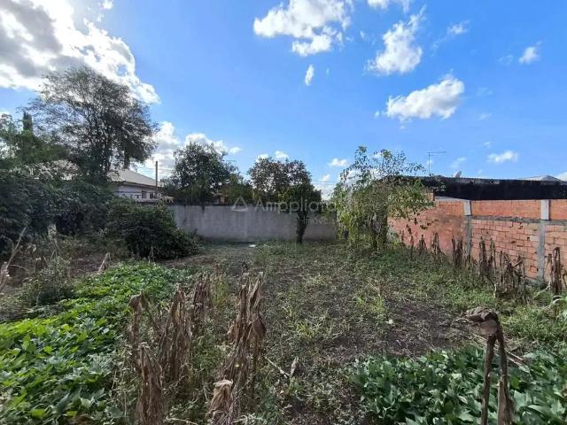 Terreno / Lote para Venda em Campina Grande do Sul/PR Jardim Paulista