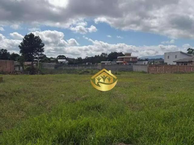 Terreno / Lote para Venda em Campina Grande do Sul/PR Joana Olimpia