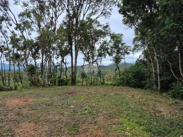 Terreno / Lote para Venda em Campina Grande do Sul/PR Mandaçaia