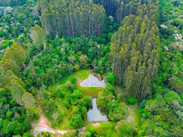 Terreno / Lote para Venda em Campina Grande do Sul/PR Olhos D' Água
