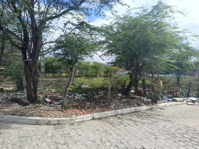 Terreno / Lote para Venda em Campina Grande/PB Cruzeiro