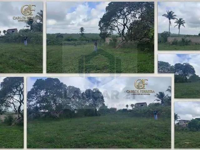 Terreno / Lote para Venda em Campina Grande/PB São José da Mata