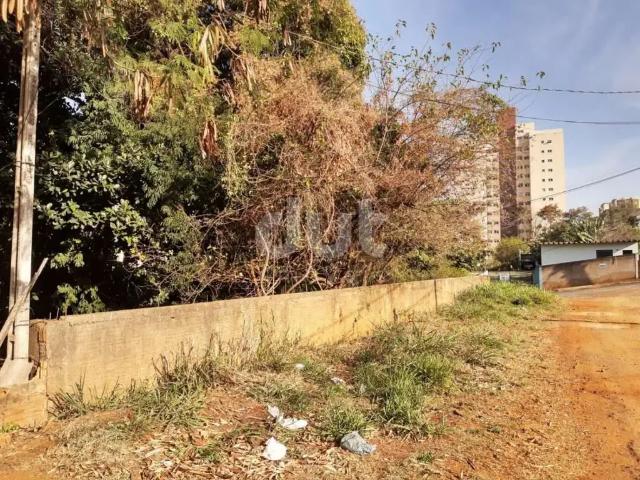 Terreno / Lote para Venda em Campinas/SP Mansões Santo Antônio