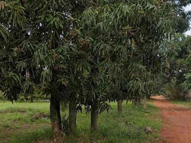 Terreno / Lote para Venda em Campinas/SP Bananal