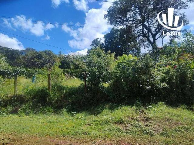 Terreno / Lote para Venda em Campinas/SP Bananal