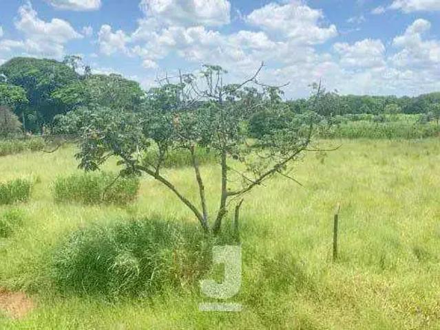 Terreno / Lote para Venda em Campinas/SP Barão Geraldo